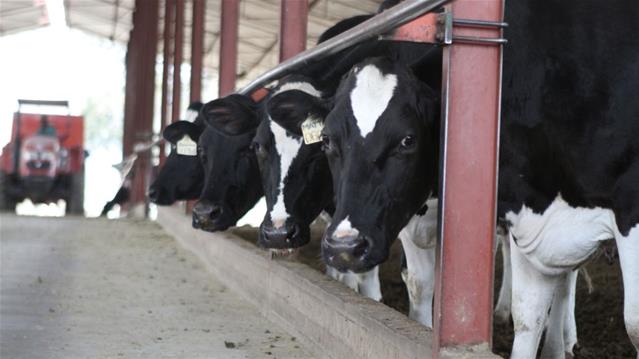 Melkboere verdien erkenning: NW-boer | OFM