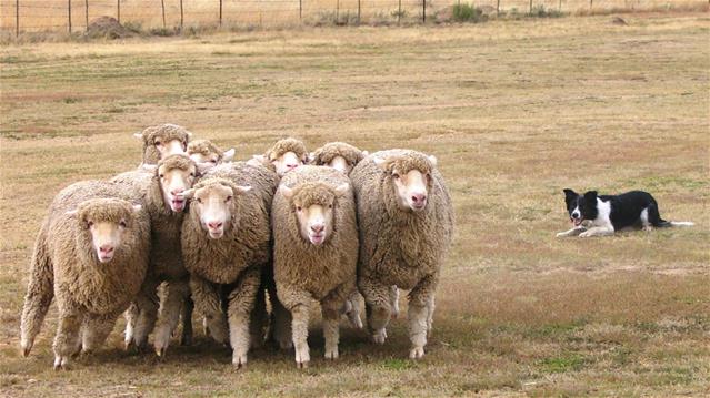 Economist pleads for aggressive prevention protocols to control farming ...