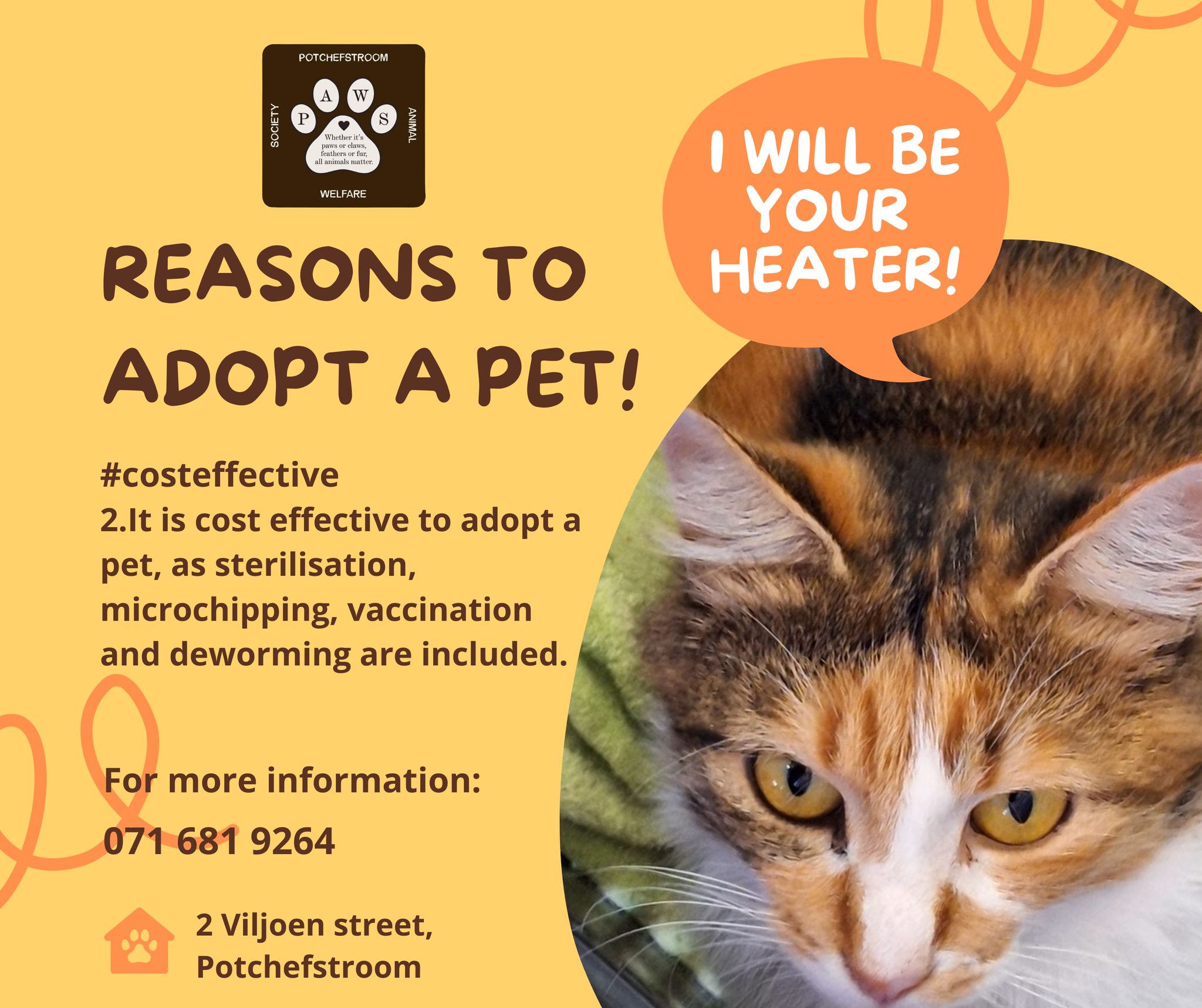 PAWS Potch ondersoek diere ná brand | OFM