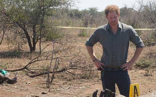 PICTURE GALLERY: Prince Harry horrified by rhino poaching scenes in SA ...
