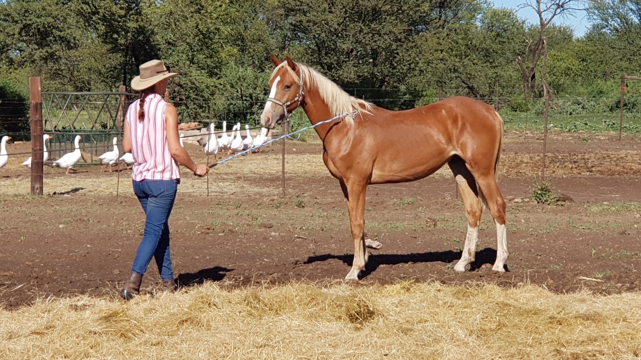 #WomensMonth: ‘Jy kan!’ is Sussex-boer se boodskap aan vroue | OFM