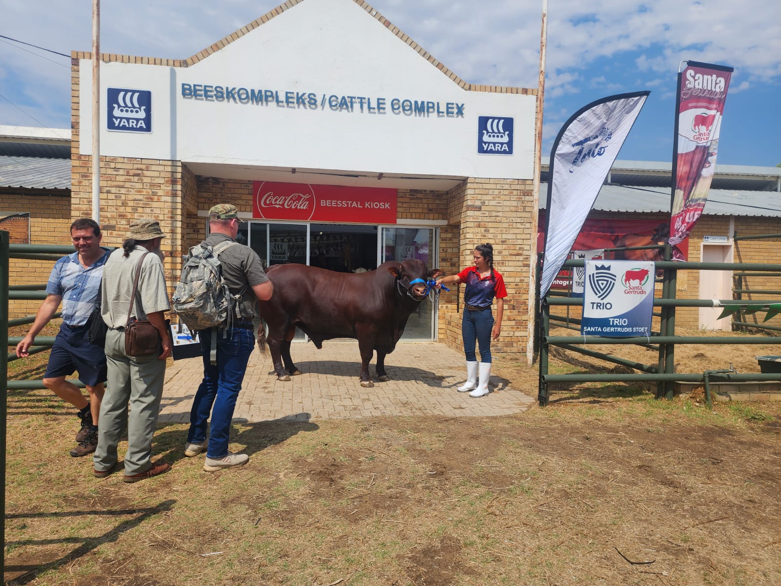 Jeugskoue belangrik vir toekoms van landbou | OFM