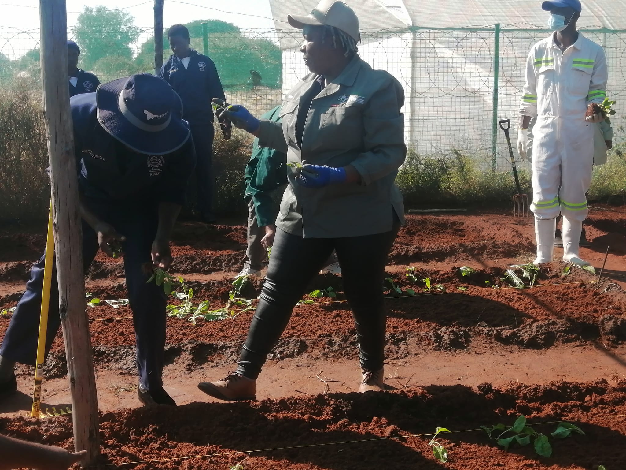 North West school converted to focus on agriculture | OFM
