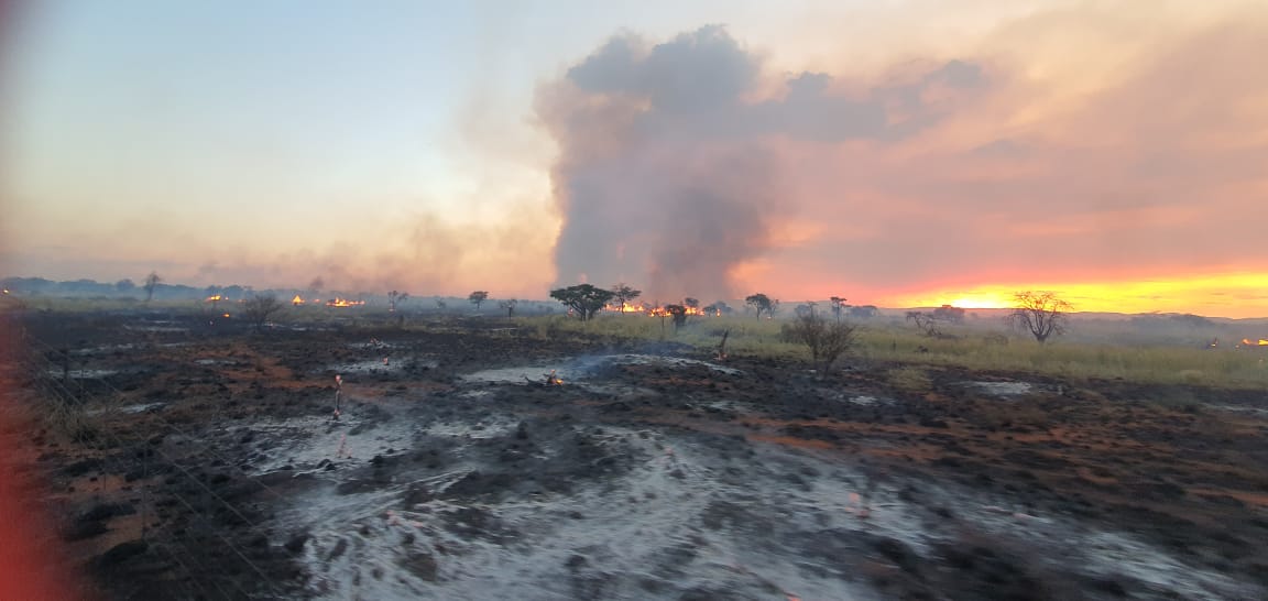 Meer as 20 000 hektaar deur brande in Deben-omgewing verwoes | OFM