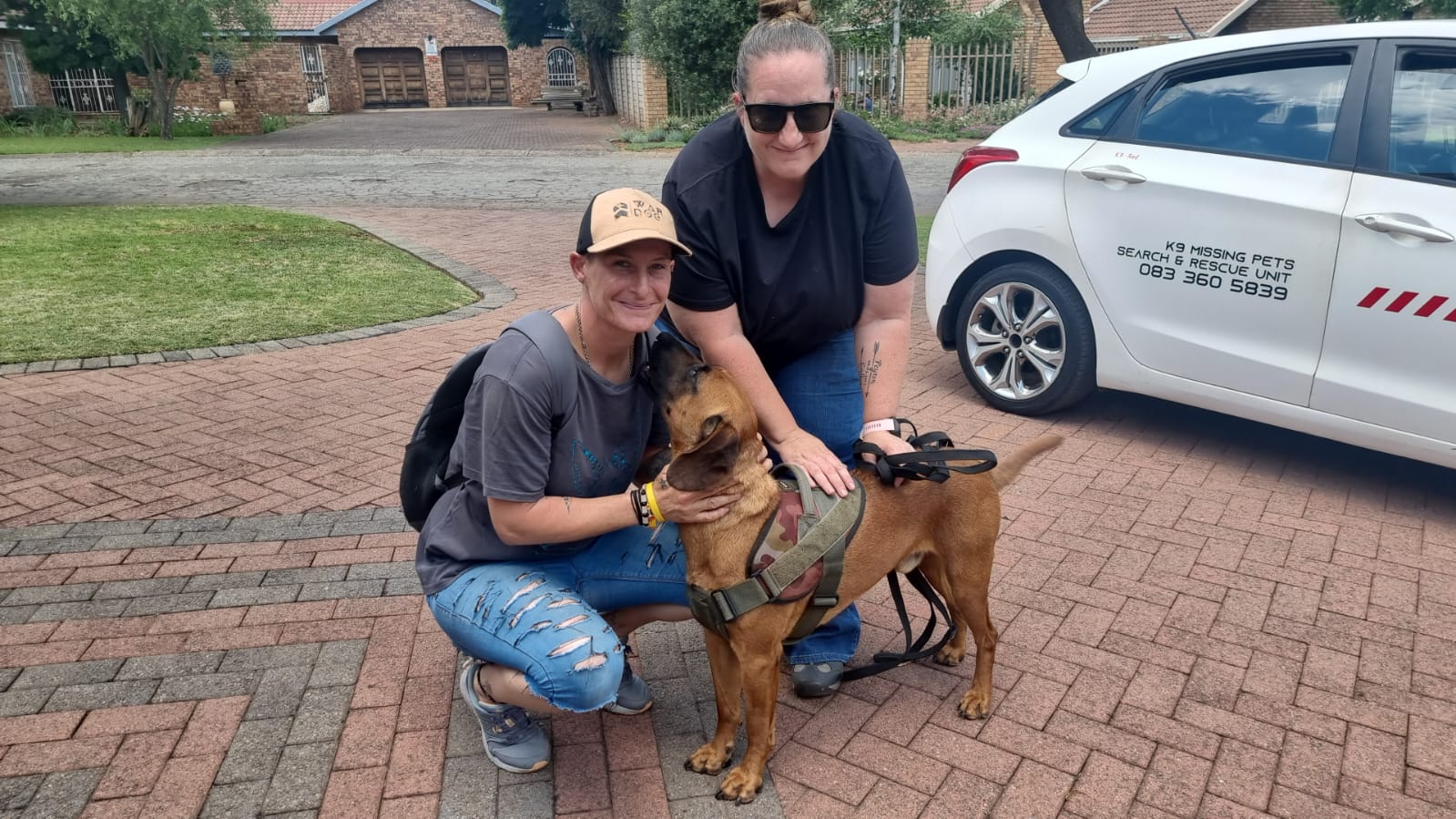Sussie, die viervoetige held, word steeds gesoek | OFM Sussie, die viervoetige held, word steeds gesoek | OFM