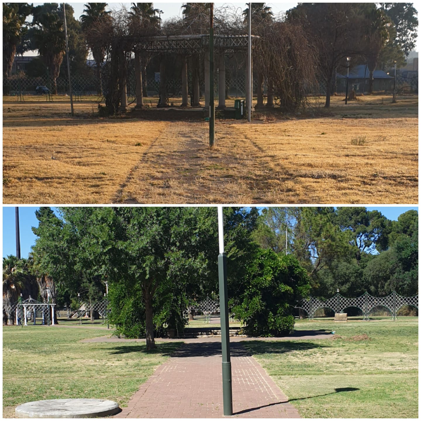 Bloemfontein se Kingspark-roostuin binnekort heropen | OFM